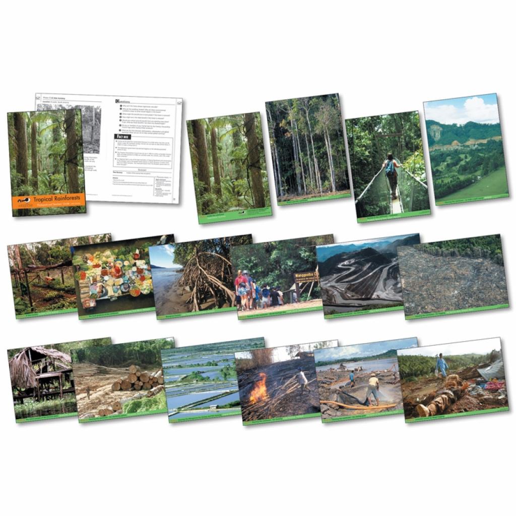 Rainforests Photopack & Activity Book