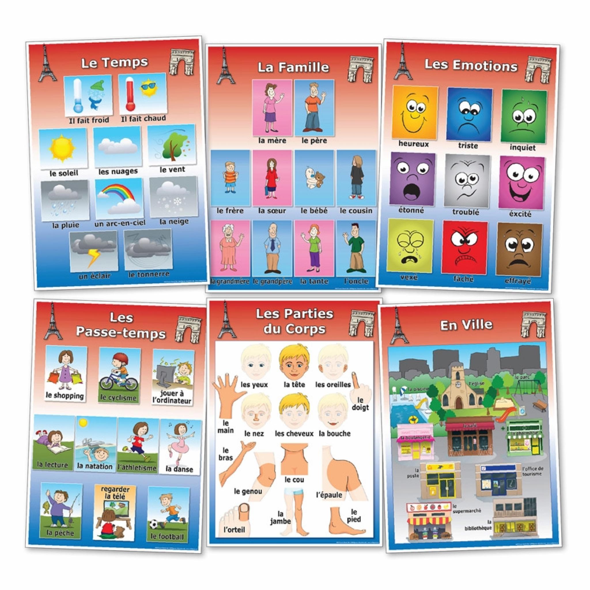 French Vocabulary Poster Bundle