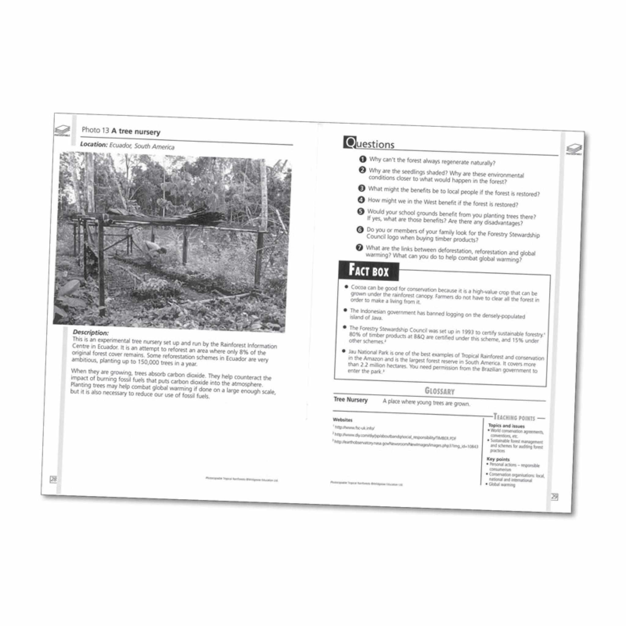 Rainforests Photopack & Activity Book