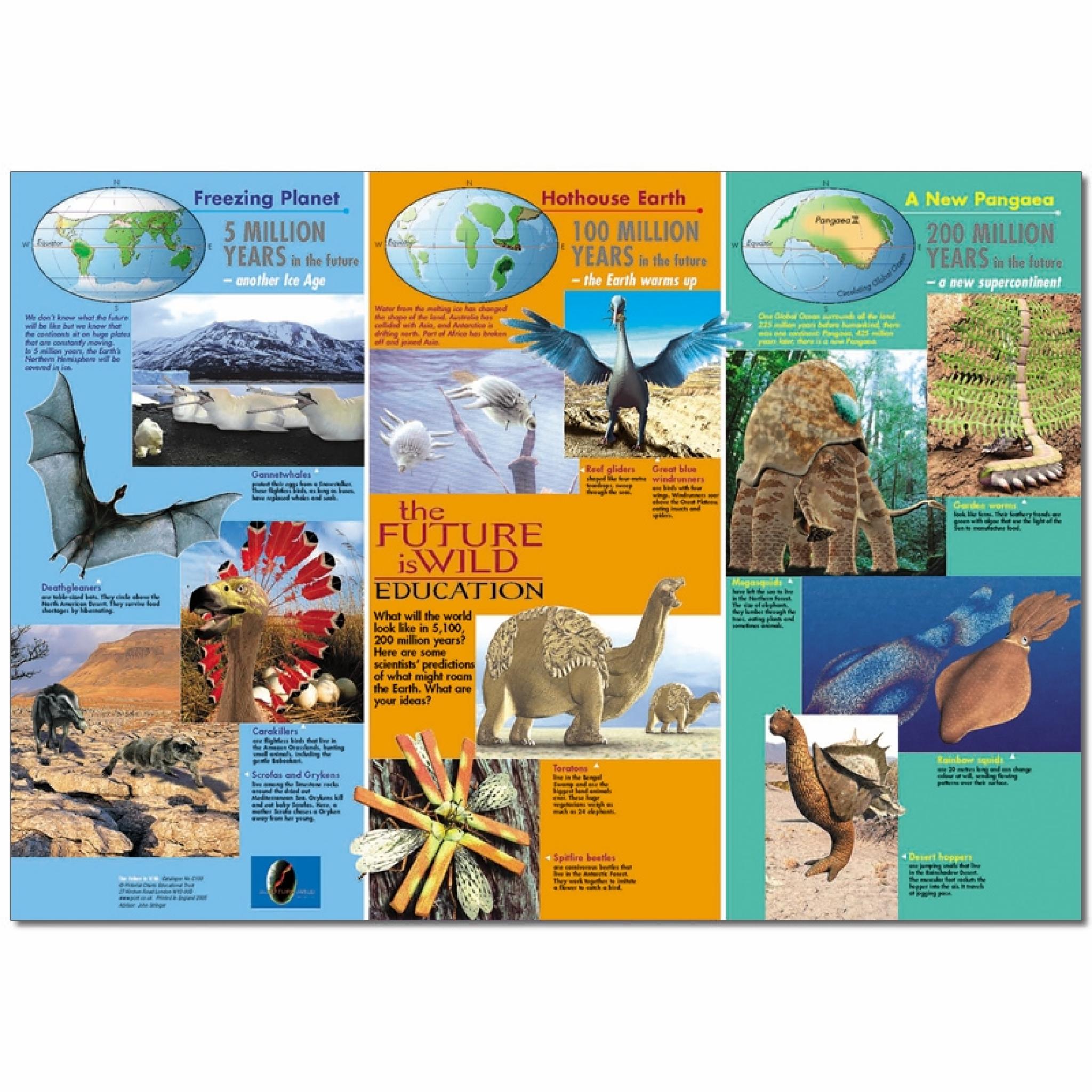 Future is Wild Poster