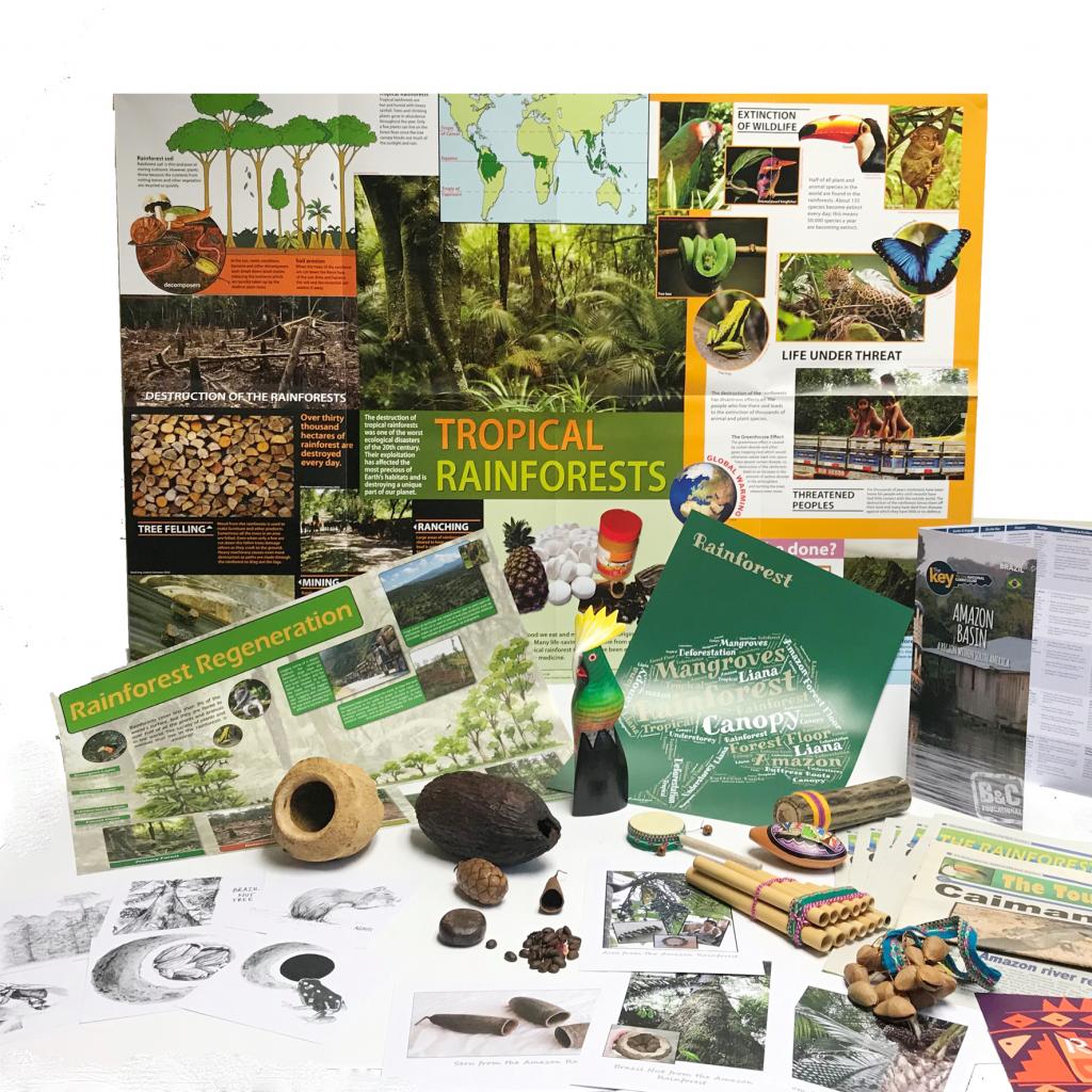 Rainforest Artefacts Collection | Wildgoose Education