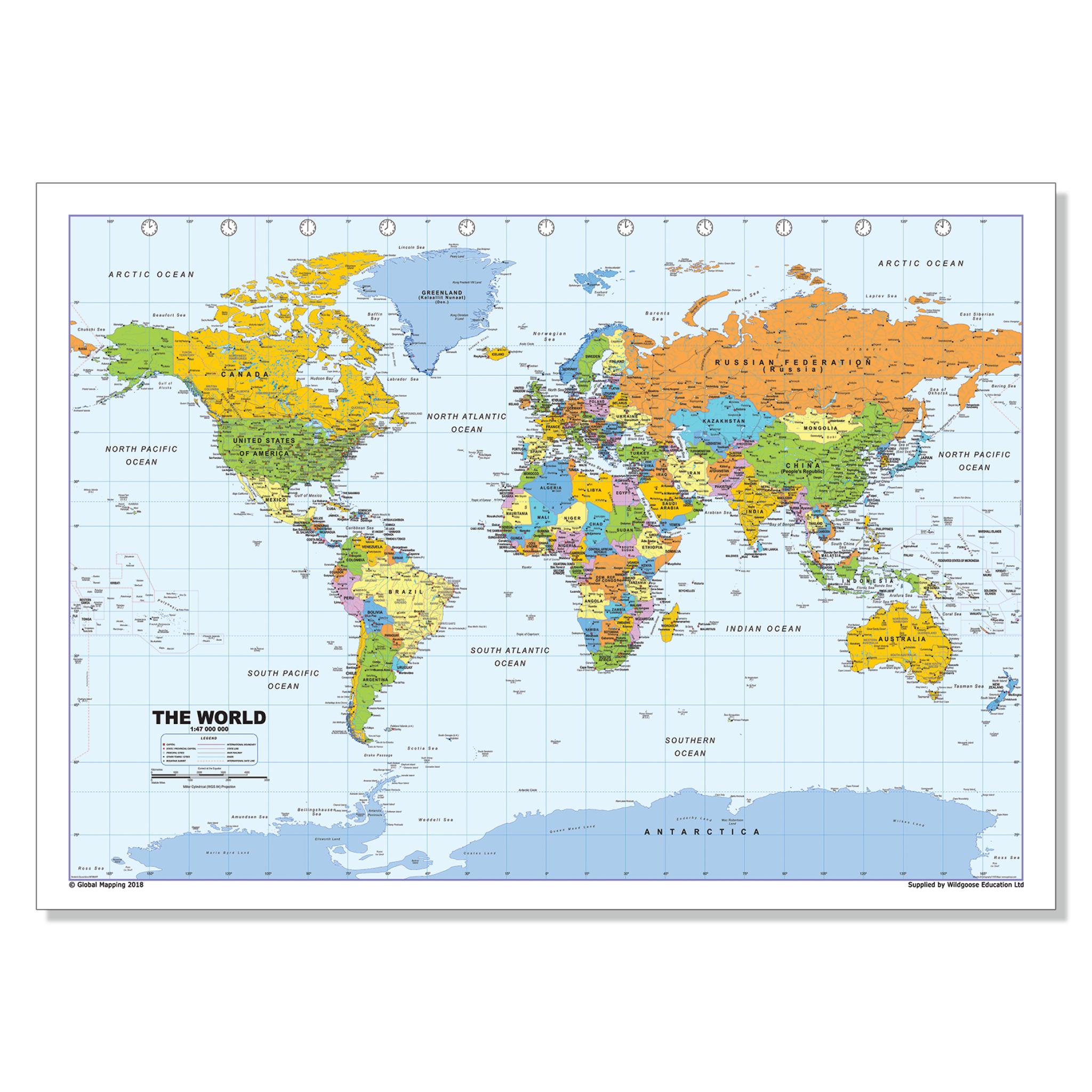 A1 Vinyl World Map | Wildgoose Education