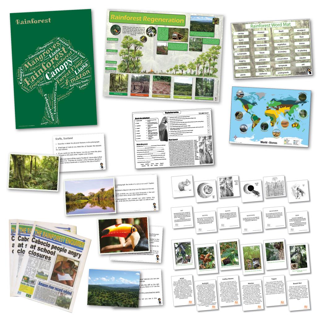 Rainforest_Word_Mat | Wildgoose Education